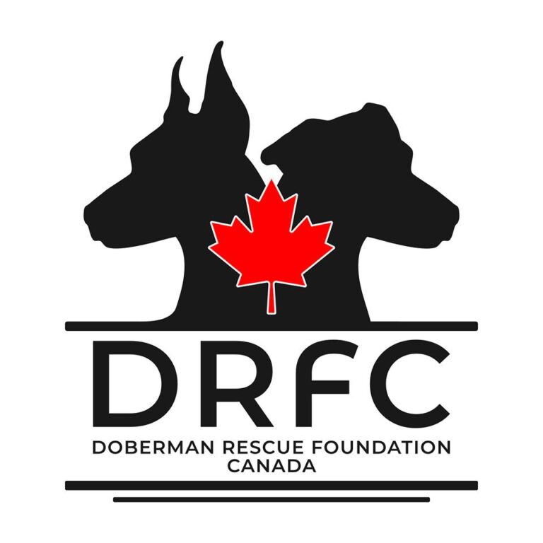 Home - Doberman Rescue Foundation Canada